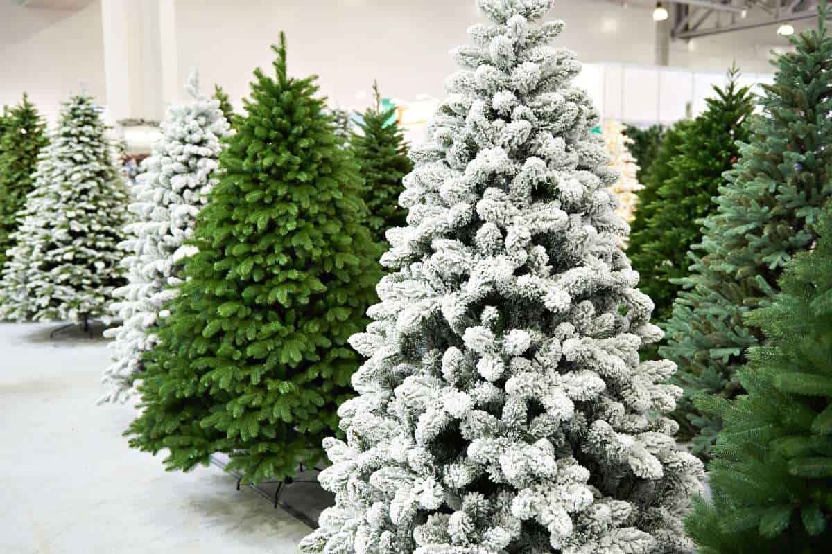 Uncover The Best Places To Buy A Real Christmas Tree - Restore Decor & More