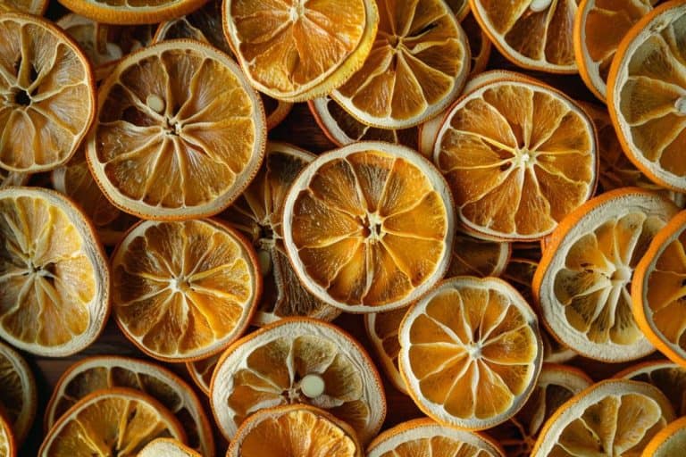 From Simple to Stunning: 20+ Ways Dried Orange Slices Can Spice Up Your ...