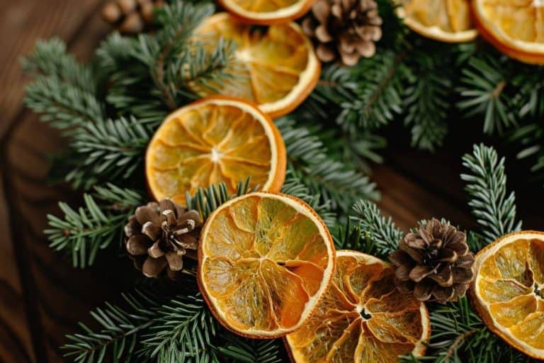 From Simple to Stunning: 20+ Ways Dried Orange Slices Can Spice Up Your ...