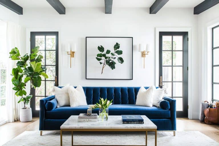 40+ Stunning Living Rooms with Blue Couches You'll Love - Restore Decor ...