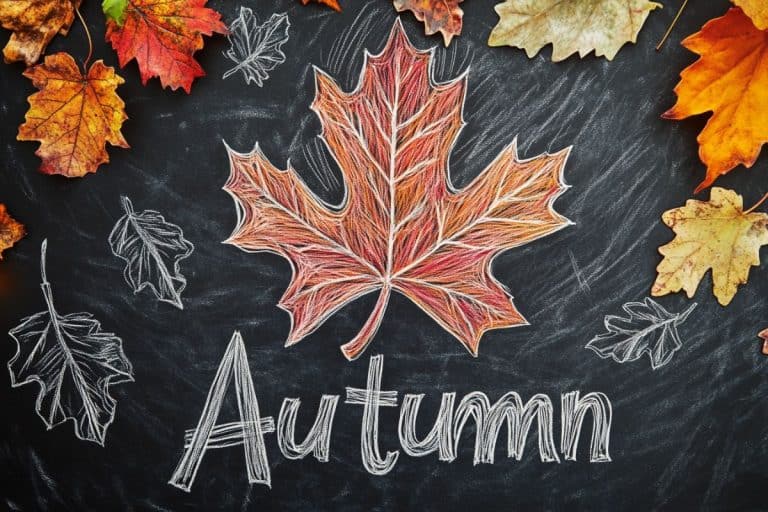 25 Amazing Fall Chalkboard Ideas That Will Transform Your Home 🍂 ...