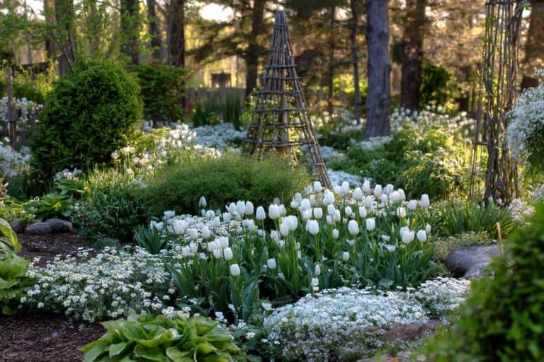 5 Ways White Gardens Can Instantly Class Up Your Outdoor Space ...