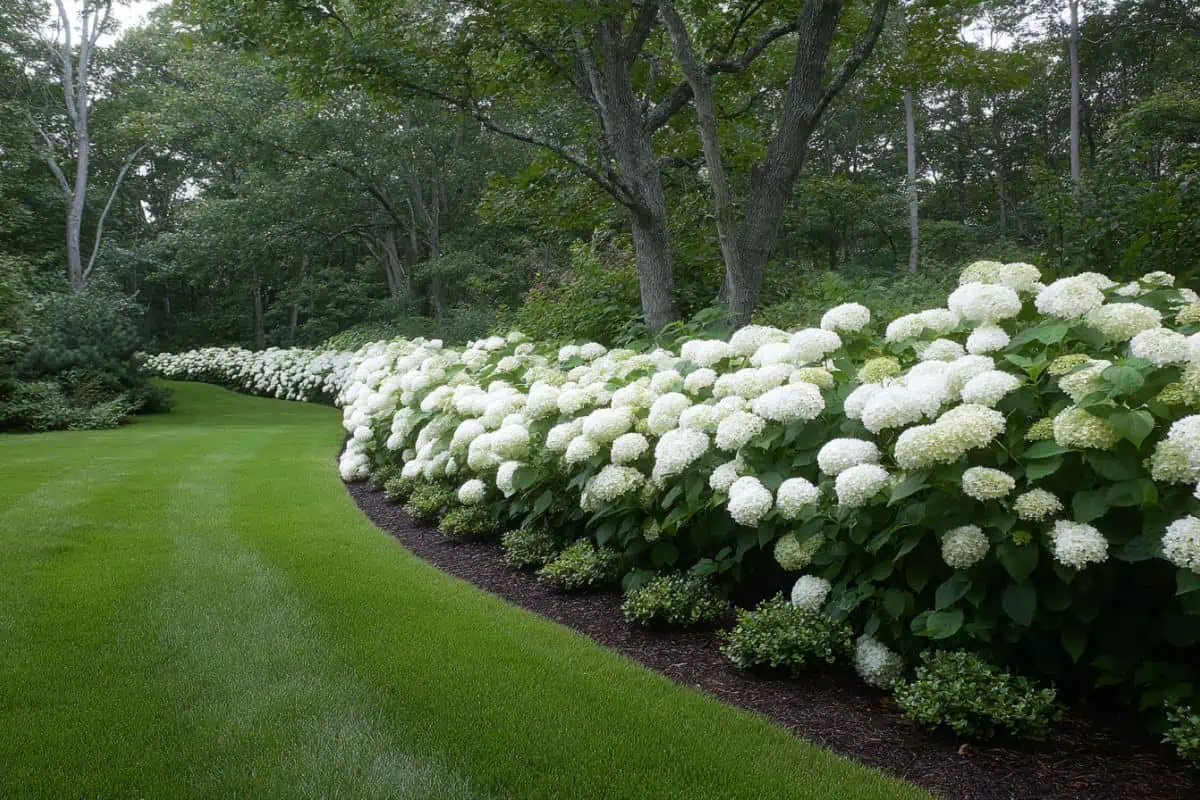 5 Ways White Gardens Can Instantly Class Up Your Outdoor Space ...