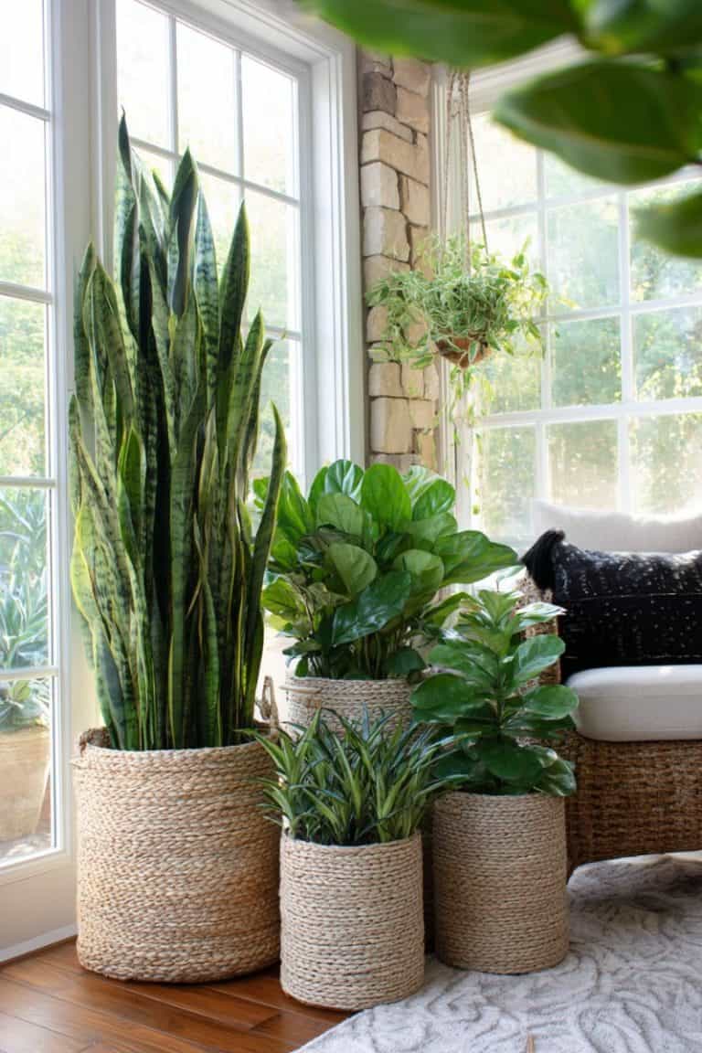 Simple Yet Stunning Ways to Decorate with Plants at Home - Restore ...